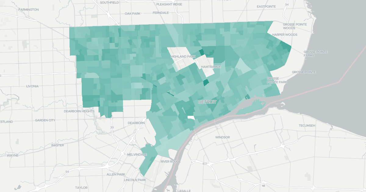 Detroit Election Maps